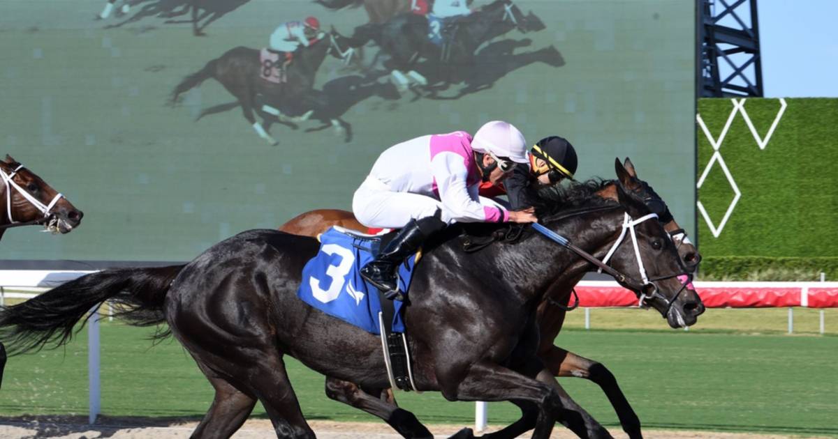 Luis Fuenmayor, Leonel Reyes e Iván Pimentel Jr. generan pick 3 final ...