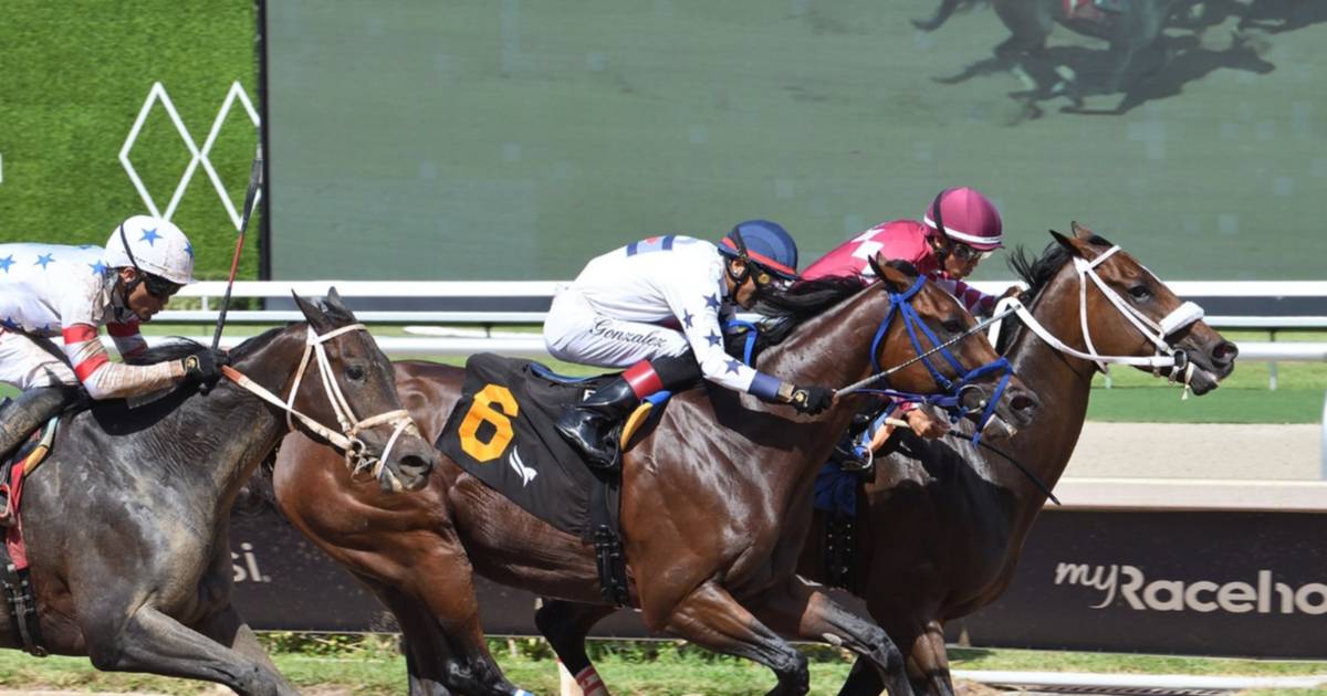 Antonio Sano supera la cantidad de victorias que logró en el Royal Palm Meet del 2024