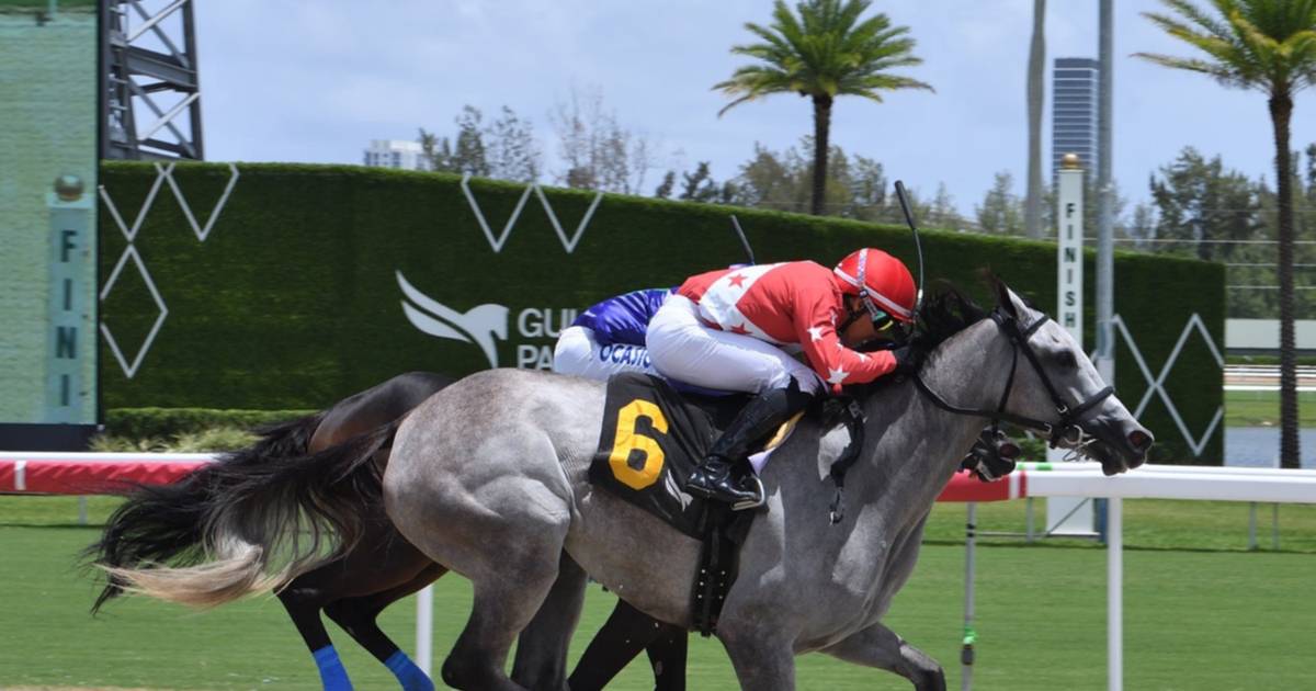 Marcos Meneses con el batacazo del domingo en Gulfstream Park de 45-1