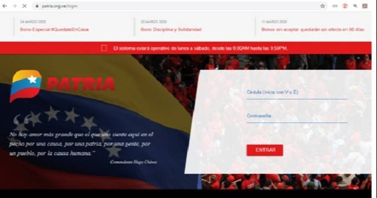 Sistema Patria: Sepa los bonos y montos que deposita este 31 de julio