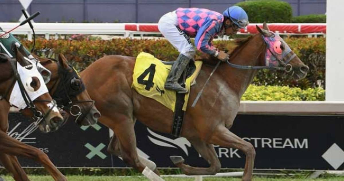 Esta es la monta de Leonel Reyes con la que puede sorprender este ...