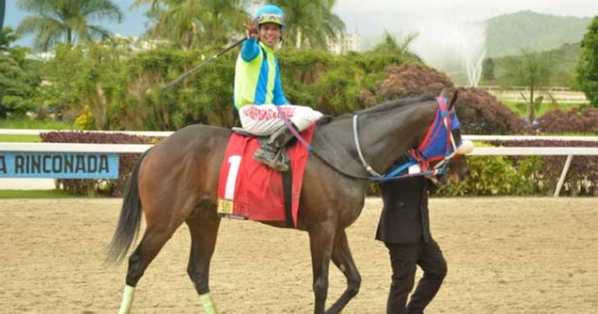 Caballo que estrena Gríngolas podrá ser el gran favorito del 5y6 ...