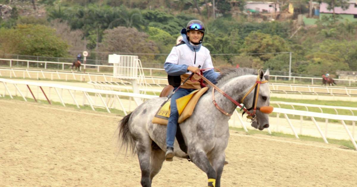 Mira lo que informó el jinete Francisco Quevedo sobre este ejemplar en ...