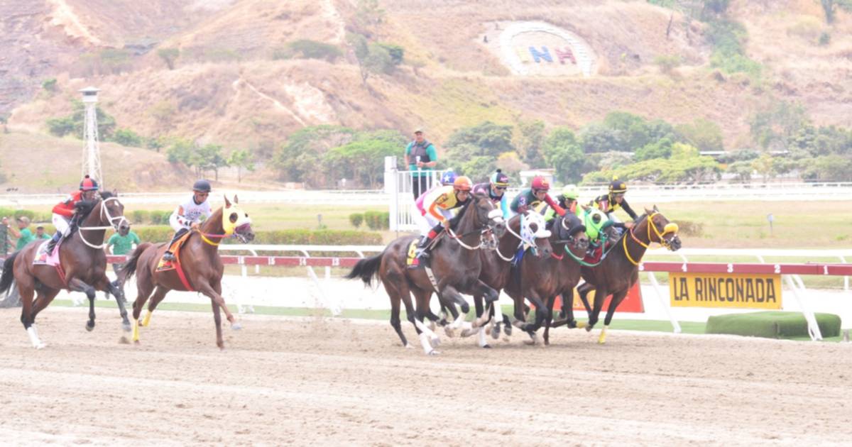 Conoce el trabajo que hicieron con El Gran Mario este miércoles en La ...