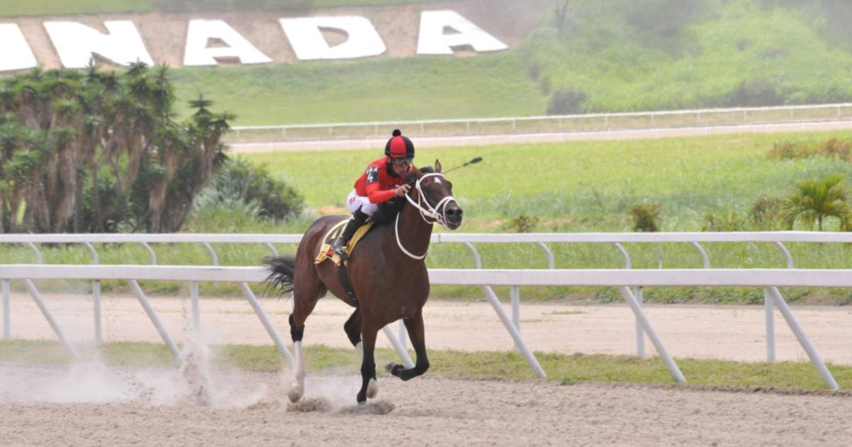 Mira lo que le pasó en su ajuste a Ron Añejo