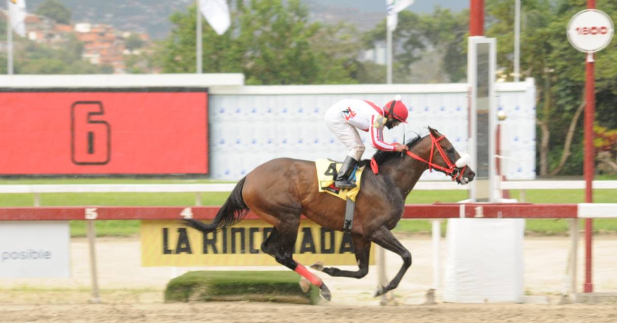 Colossus puede lucirse en la Copa Invitacional del Caribe de la Gala Hípica