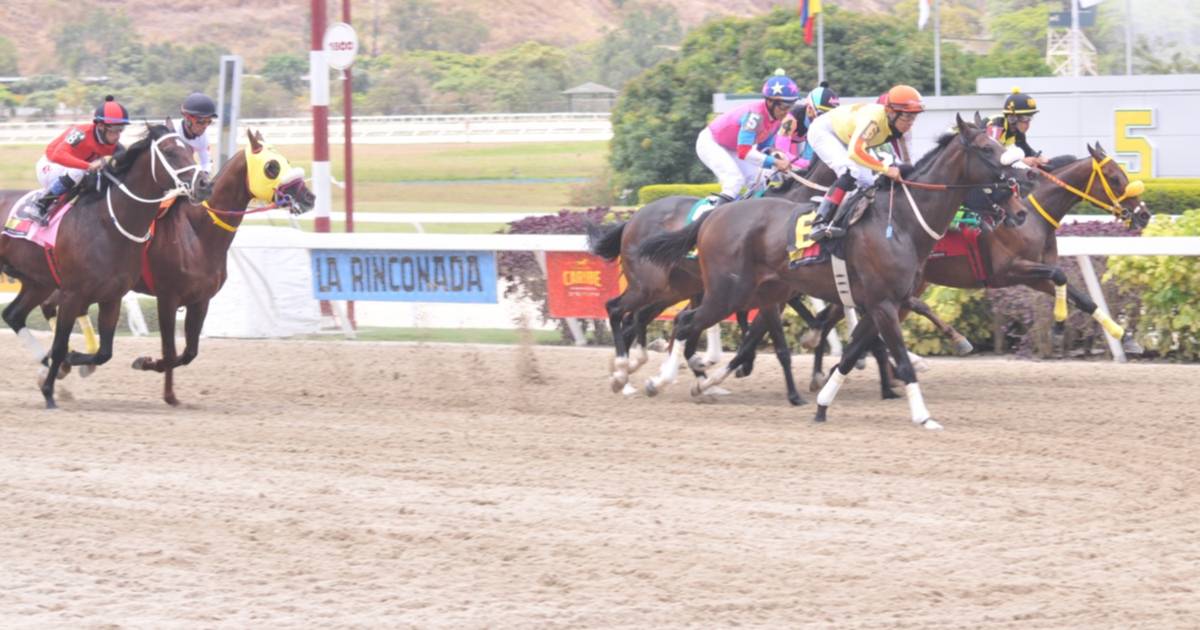 La Gala Hípica de Caracas: el gran evento del turf criollo de mitad de año