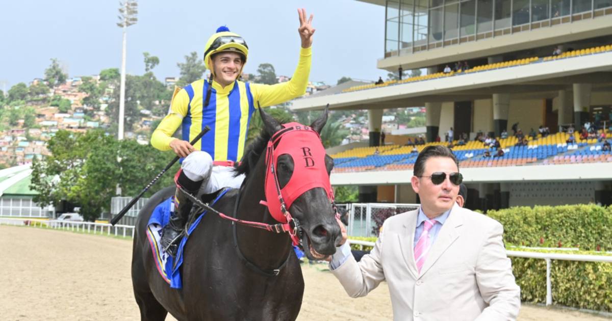 Riccardo D’Angelo es el nuevo entrenador de este reconocido Stud en La ...