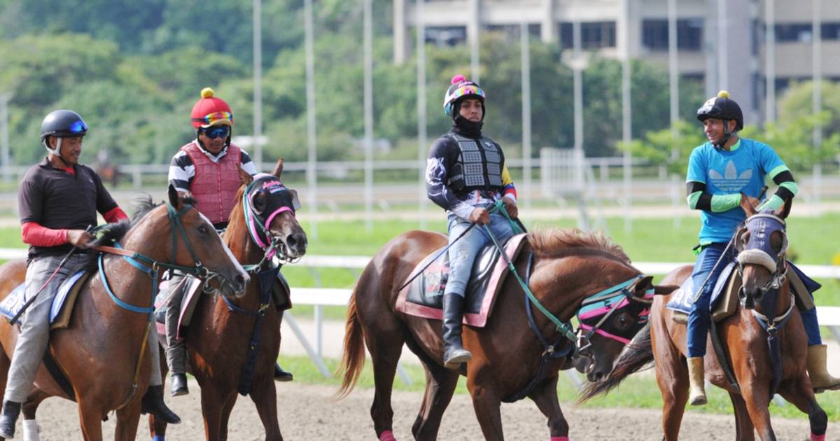 Datos de última hora para el Hipódromo Internacional La Rinconada 18-8-2024