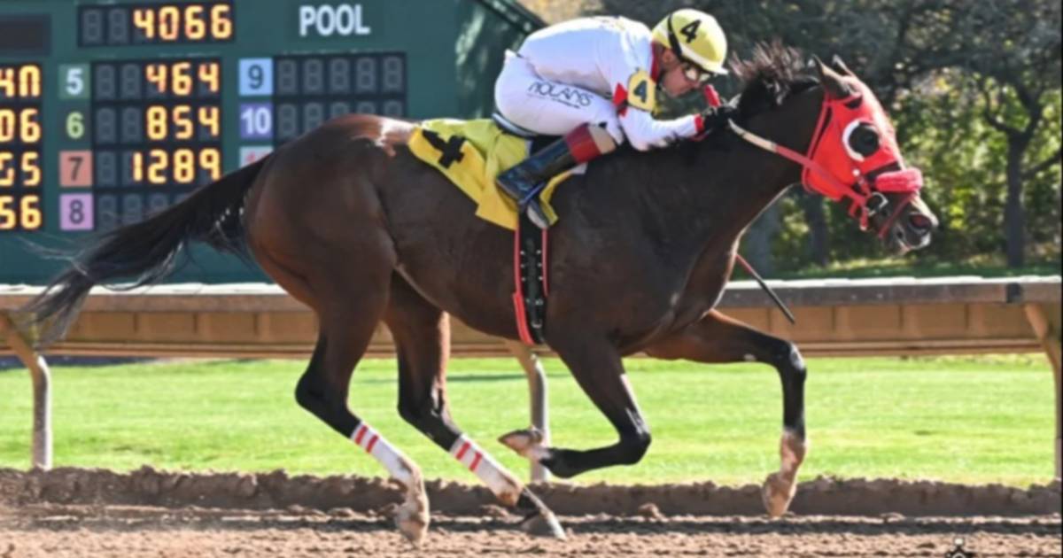 Keiber Jackson Coa logró triplete ganador en este hipódromo en Estados ...