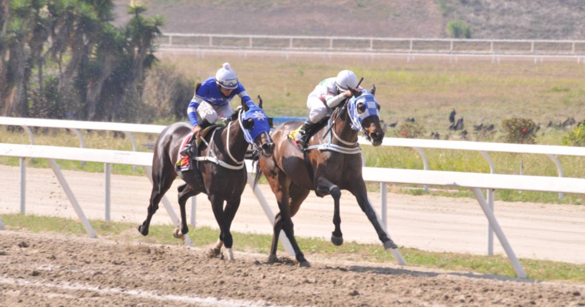 Esta es la yunta que ha ganado más carreras en La Rinconada