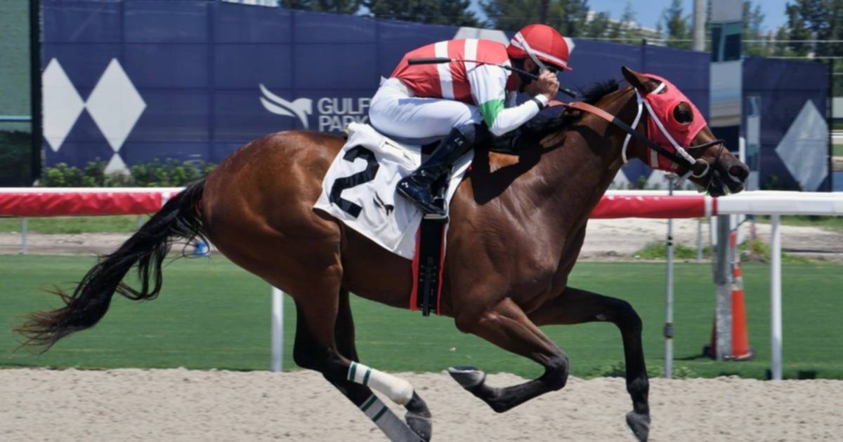 Leonel Reyes le gana esta carrera a Emisael Jaramillo en Gulfstream Park
