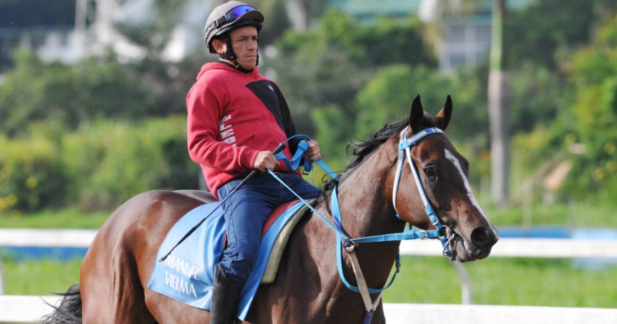 Conoce el ejemplar que le gusta a José Gilberto Hernández para decidir ...
