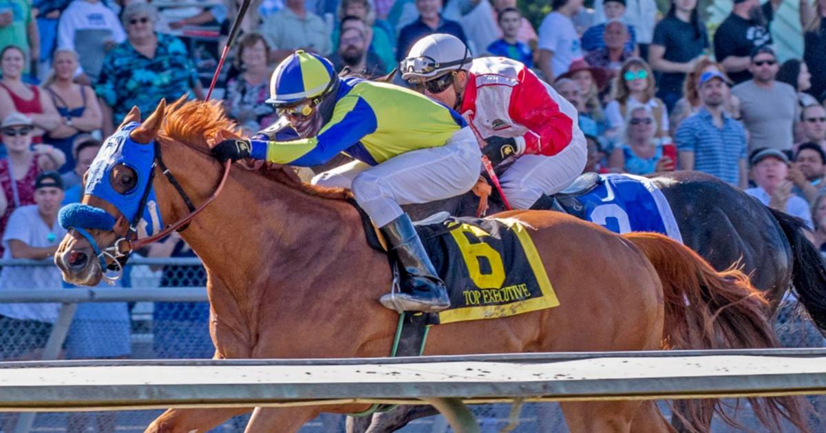 Jockey boricua impone nueva marca de campeonatos consecutivos en este ...