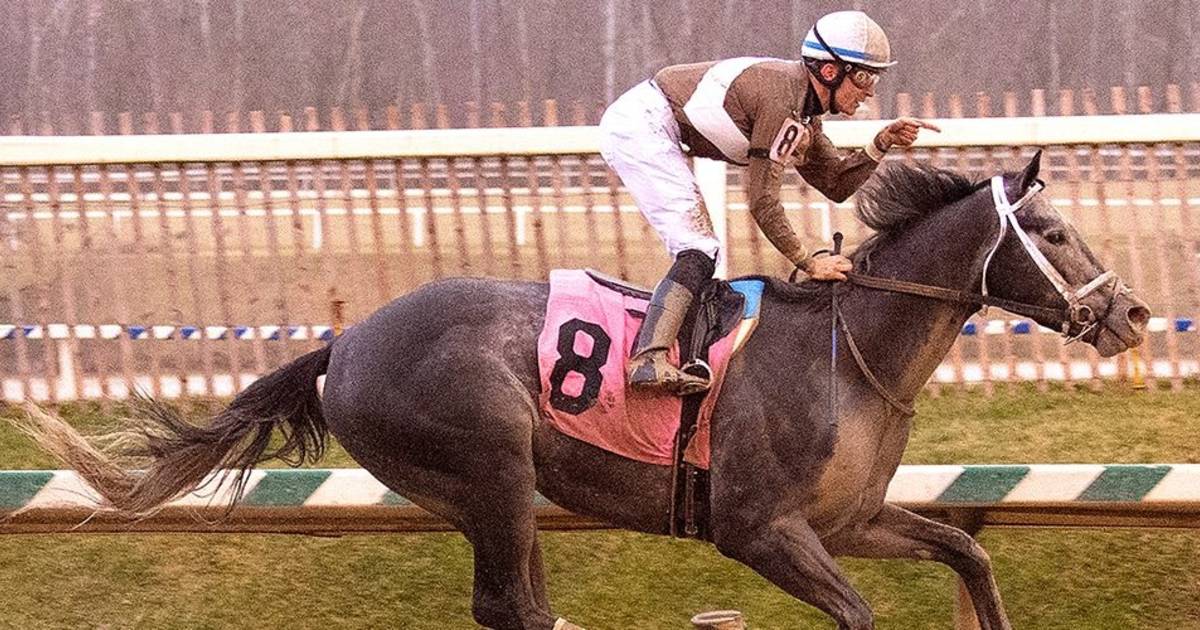 El Caballo del año de Maryland galopó y mantiene su invicto en 10 ...