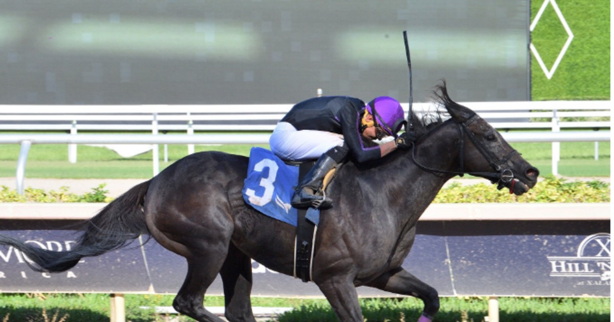 Luis Fuenmayor hace historia por primera vez en Estados Unidos