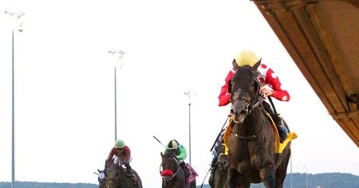 Chunk of Gold ganador del West Virginia Derby regresa a Churchill Downs