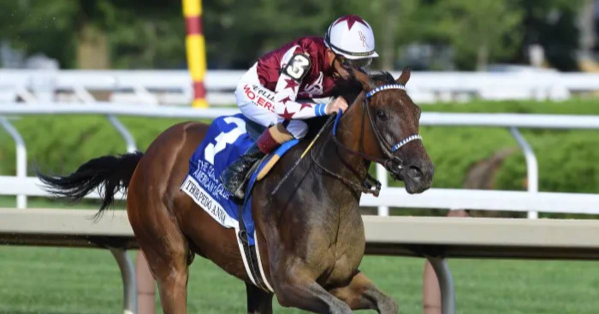 Confirmado: Conoce quién será el nuevo jockey del mejor caballo de ...