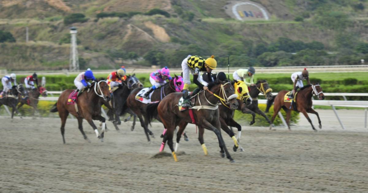 El Gran Mario vuelve a la pista de La Rinconada luego de 49 días sin correr