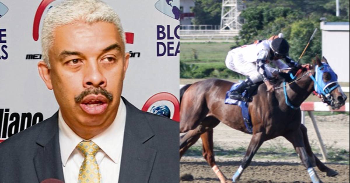 Conoce la historia del narrador deportivo Alvis Cedeño y el caballo The ...