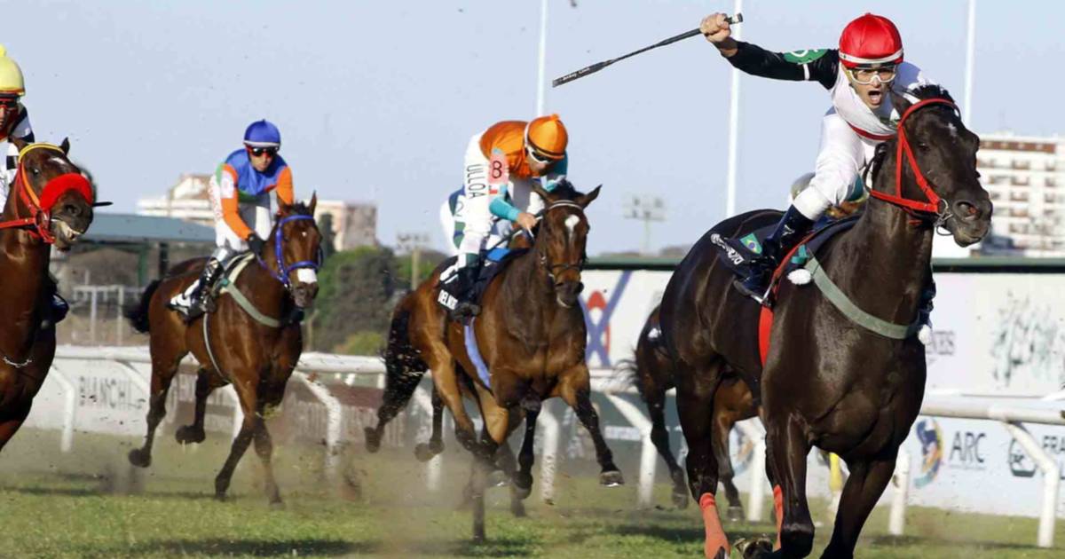 Doutor Sureño es el nuevo campeón del turf en Latinoamérica