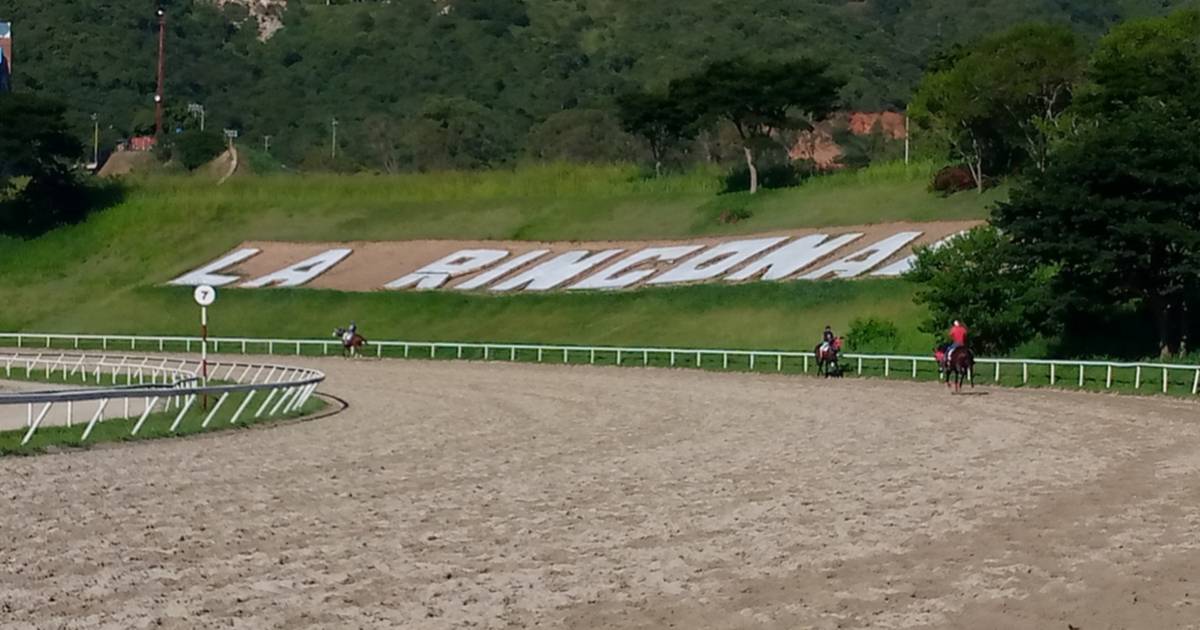 Estos son los retirados del hipódromo La Rinconada 22-10-2023