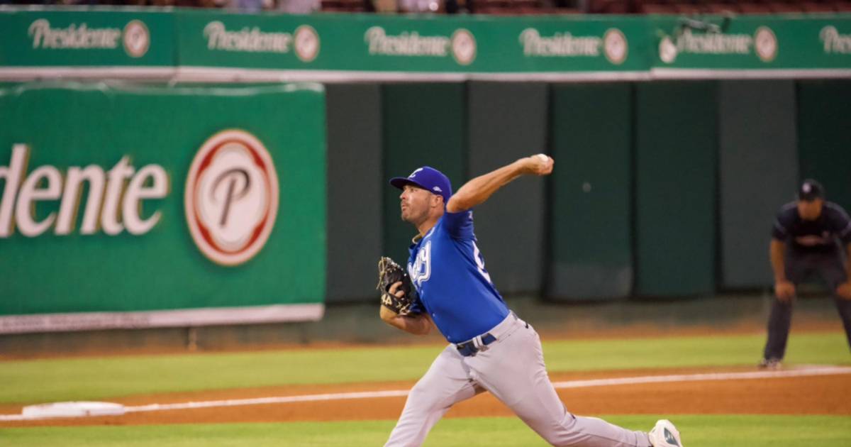 Liga Dominicana de Beisbol: Estos jugadores salieron del roster diario ...