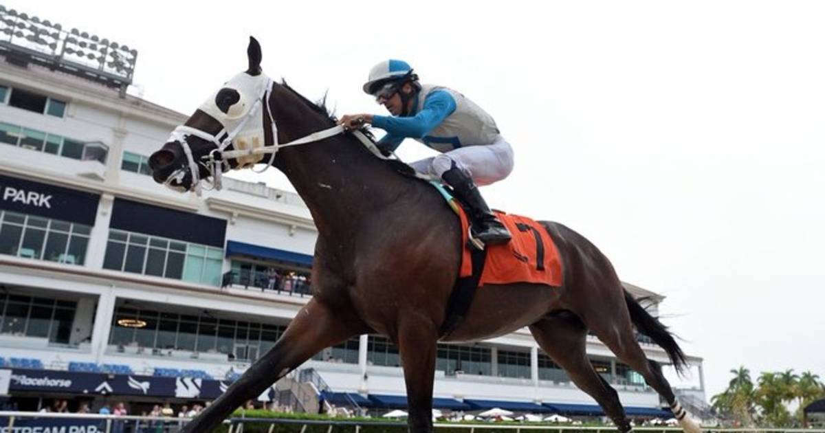 Leonel Reyes duplicó este sábado en Gulfstream Park y se acerca a las ...