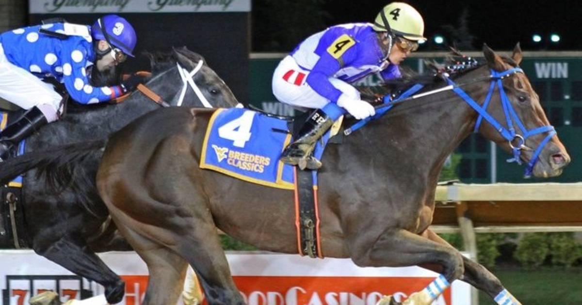 Este sábado es el gran festival de criadores de West Virginia con 9 stakes