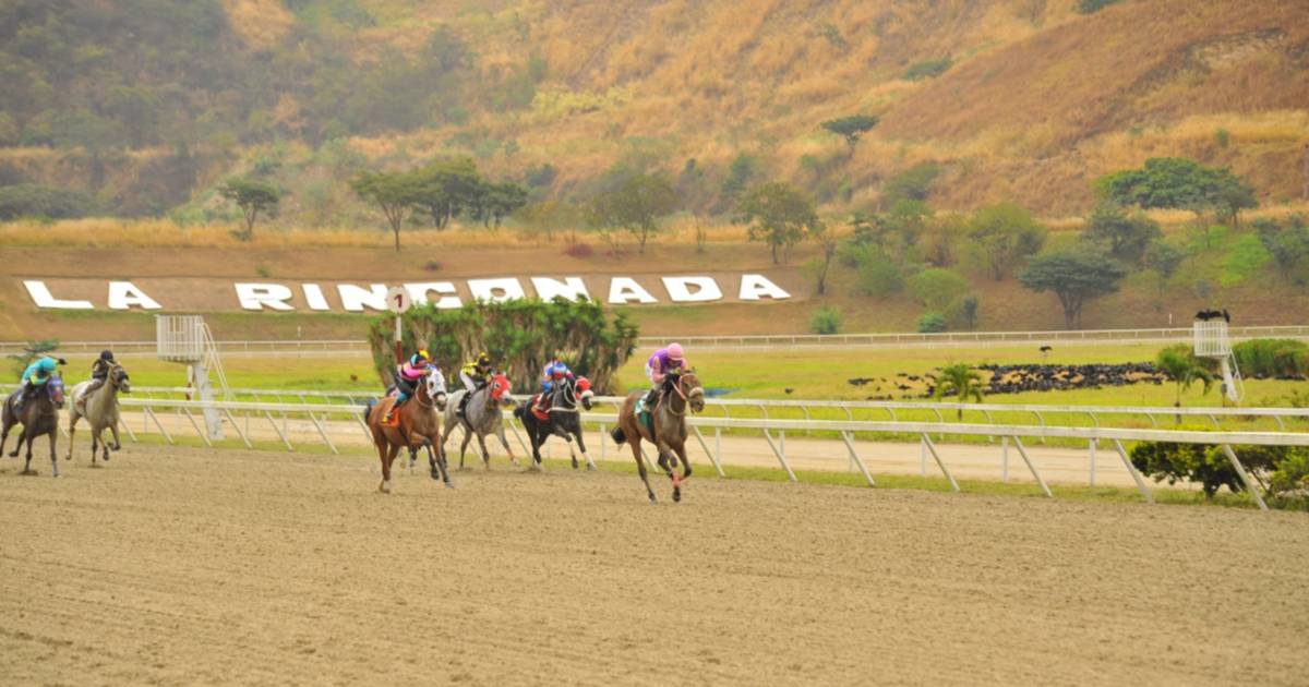 Mira el excelente ajuste de Queen Alabama que busca sorprender en el ...