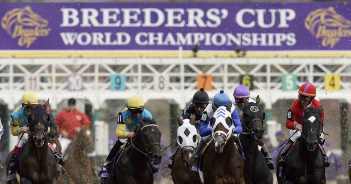 Récords de caballos inscritos para correr los 14 Stakes de la Breeders ...