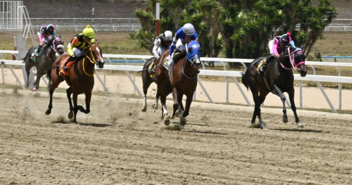 La Rinconada: Una opción diferente que puede vencer a La Súper Kat y ...