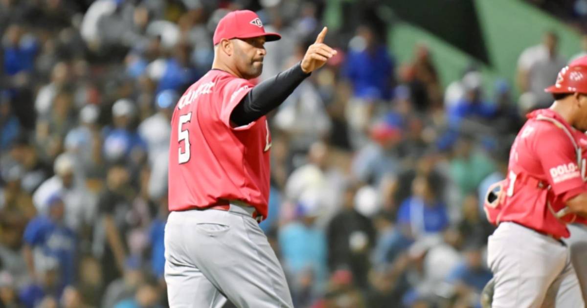 Padres se unen a la puja por Albert Pujols tras sorpresiva salida de ...