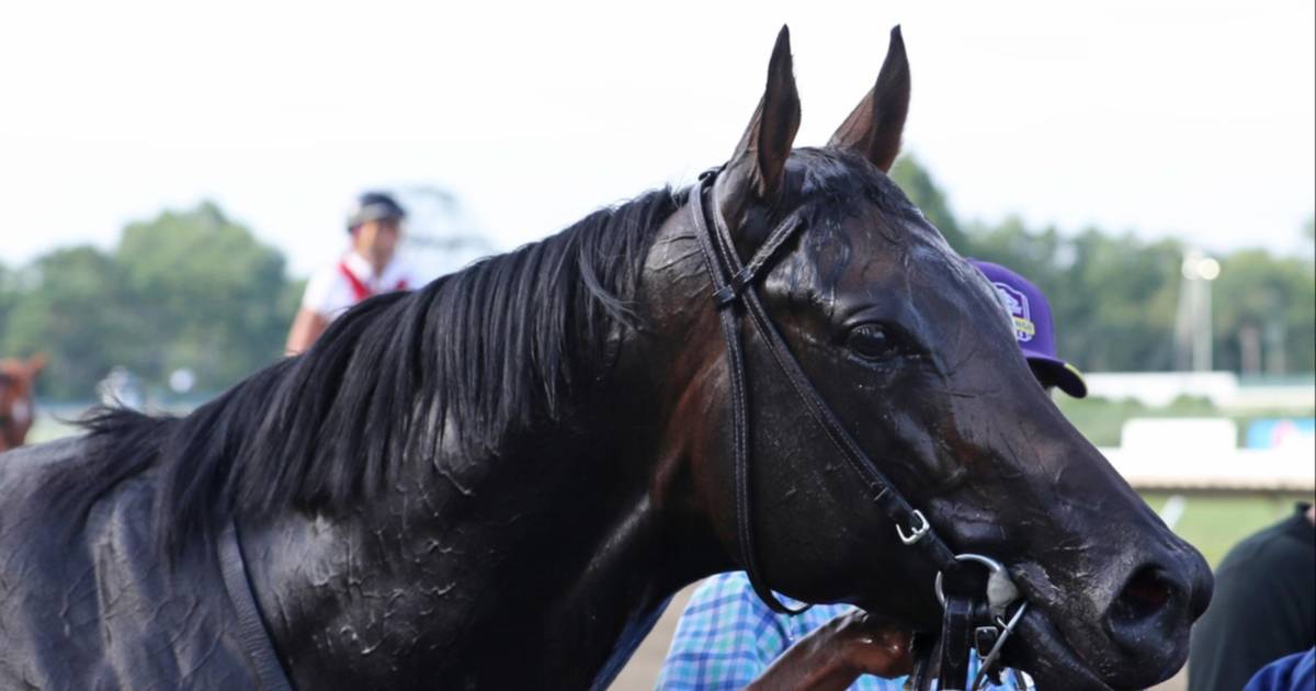 Breeders' Cup: Geaux Rocket Ride es sacrificado