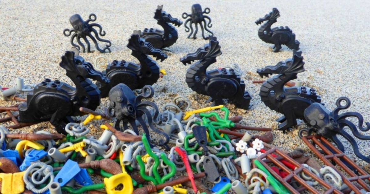 ¿Mar de Legos? La inusual historia de piezas de legos perdidas en el mar