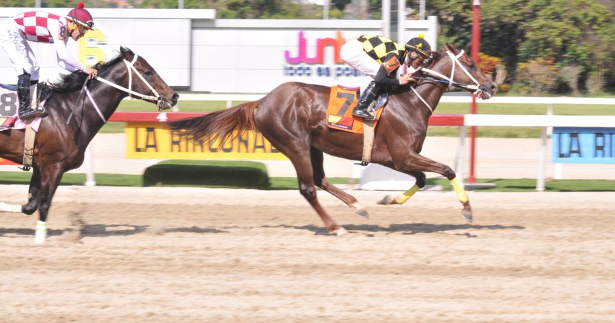 Suanfonson vuelve a la pista de la Rinconada luego de un parón de 182 ...