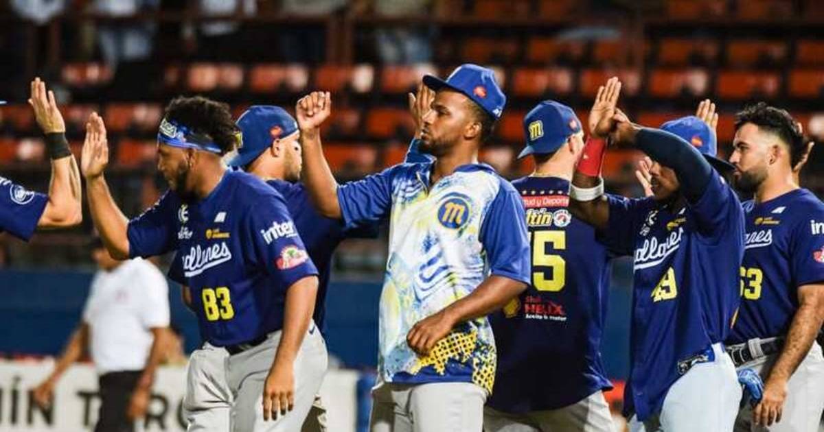 LVBP: ¡Navegantes a bordo! Magallanes hace ajustes a su roster semanal ...