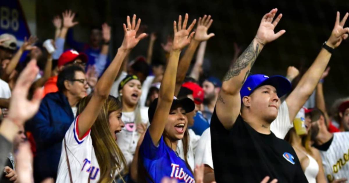 LVBP : Conoce las impresiones de la fanaticada guairista sobre la ...