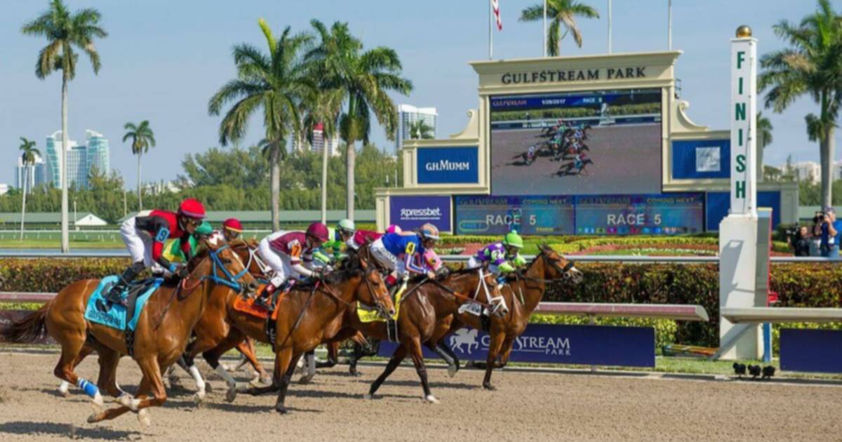 Entrenador venezolano es multado en Estados Unidos con esta cantidad de ...