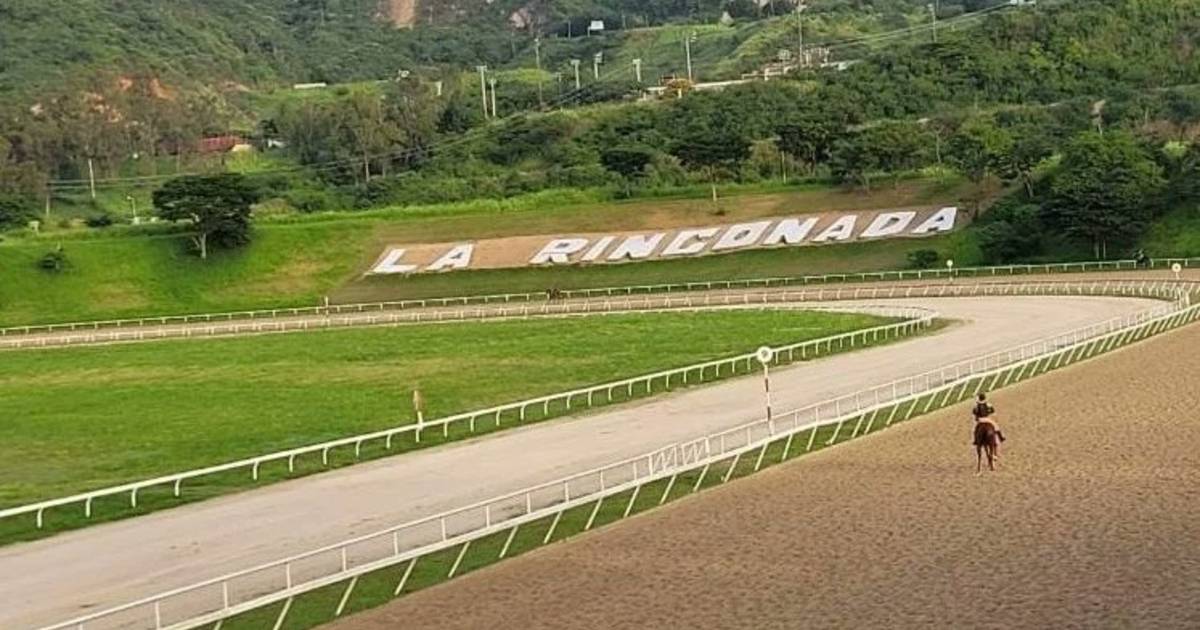 Está es la lista de ejemplares que no pueden ser inscritos en La ...