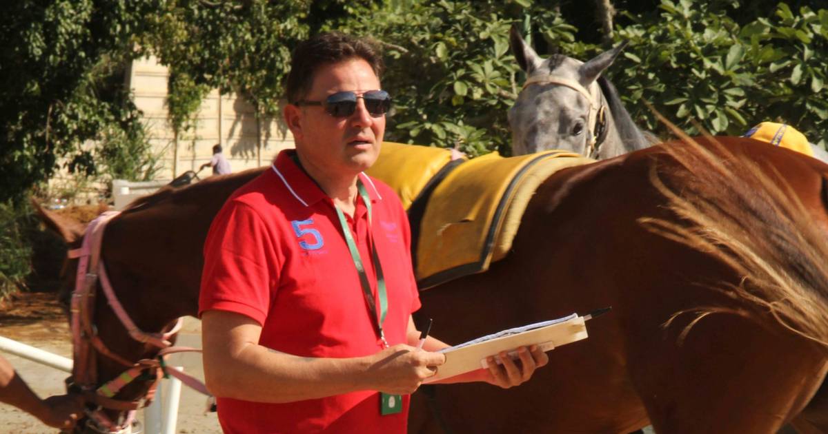 Riccardo D'Angelo entrega todos los ejemplares de este Stud en La Rinconada