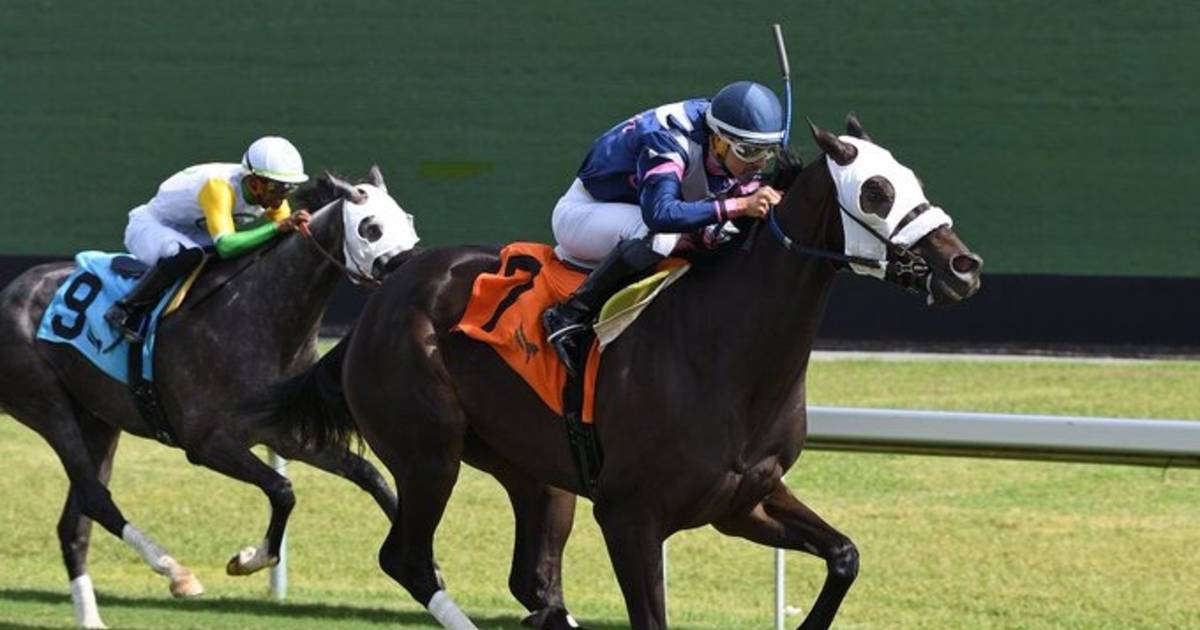 Leonel Reyes abre con victoria en Gulfstream Park y se acerca a los 100 ...