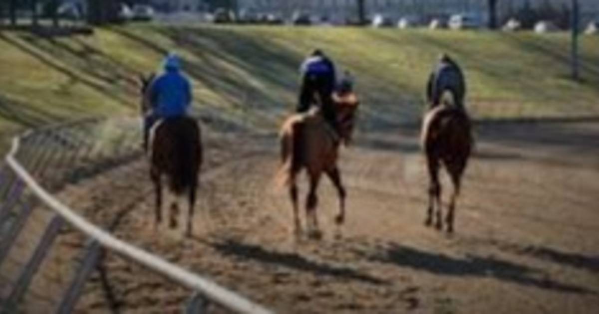 Jockey venezolano Frank Reyes es el más destacado del miércoles de este ...