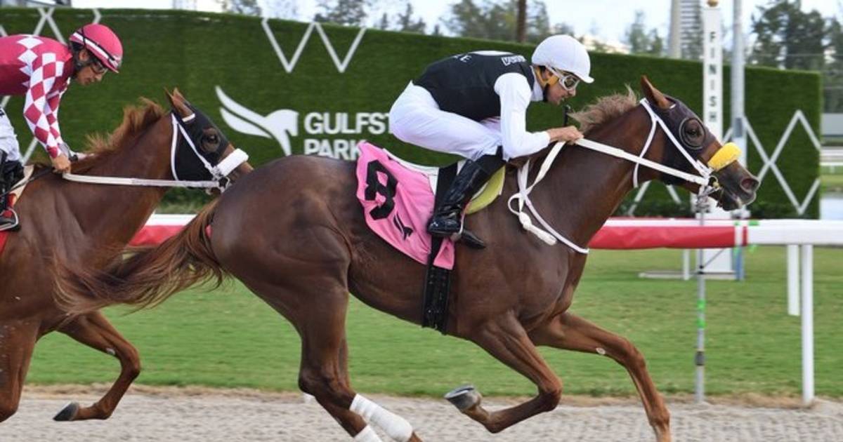 Gaceta Hípica Internacional acierta la primera carrera del viernes en ...