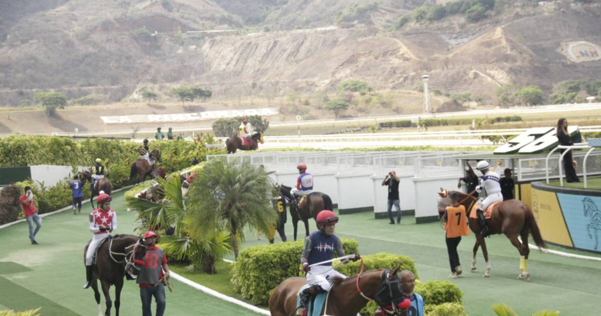 Datos de Última Hora para el Hipódromo Internacional La Rinconada 17-11 ...
