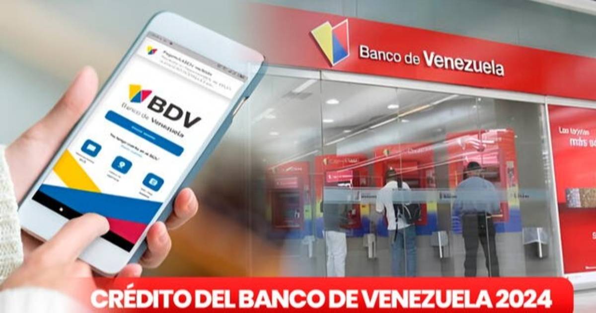 Conozca los créditos que ofrece el Banco de Venezuela (+Detalles)