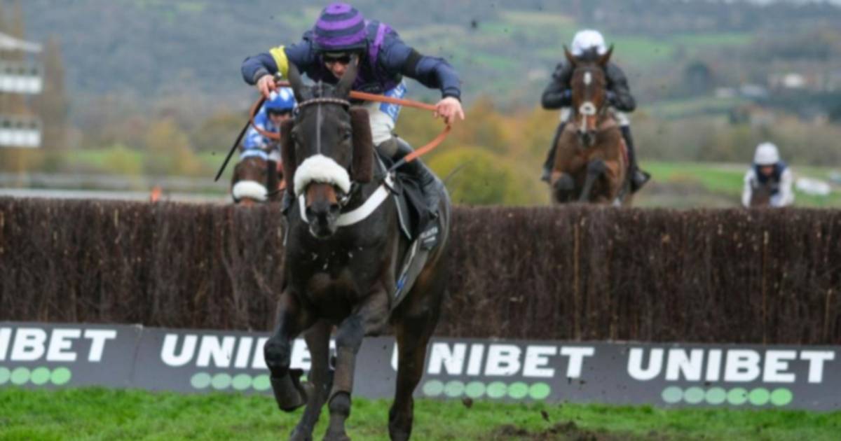 Tragedia! Tres caballos mueren el mismo día en este hipódromo
