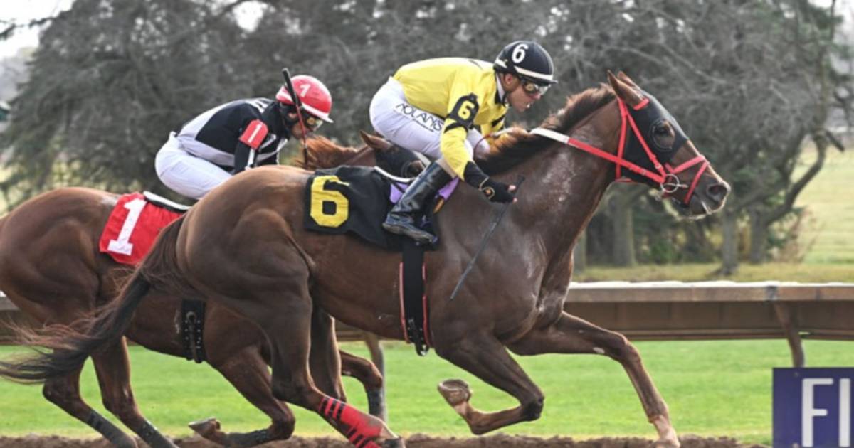 Keiber Coa consigue su segundo meeting consecutivo en Nueva York