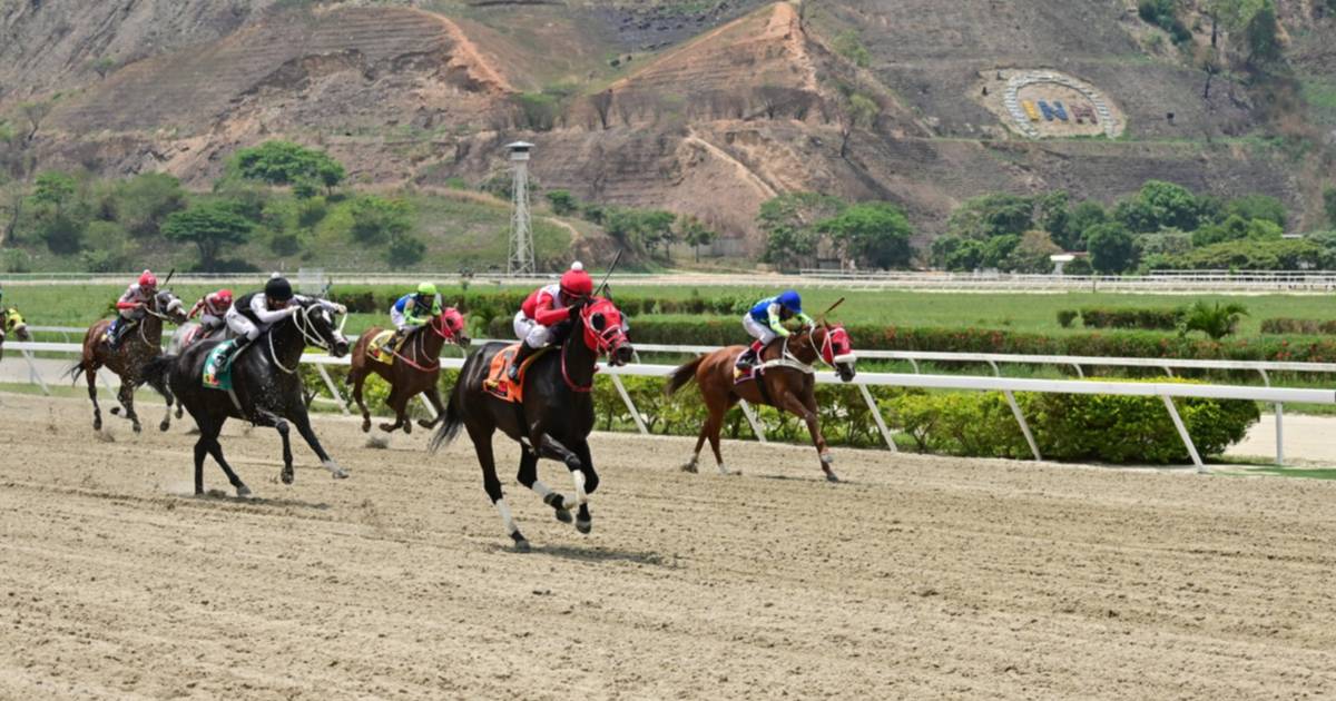 Hija de Jupiter Pluvius retorna a la pista de La Rinconada luego de 140 ...