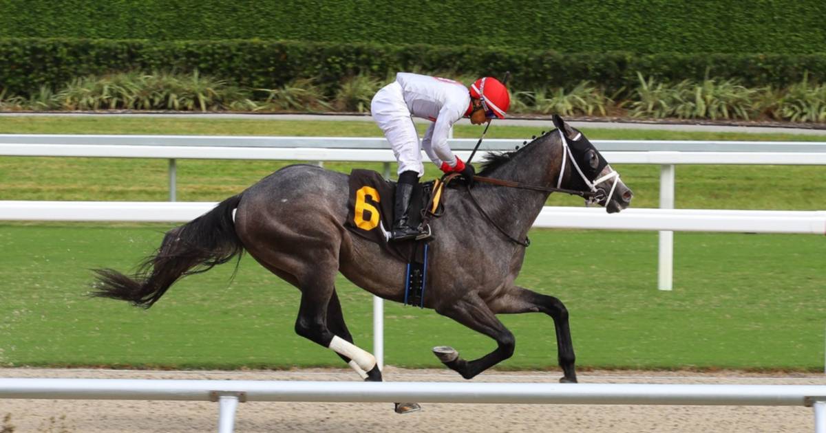 ¡Rodada aparatosa! Los jinetes venezolanos Leonel Reyes Ramos y Richard ...
